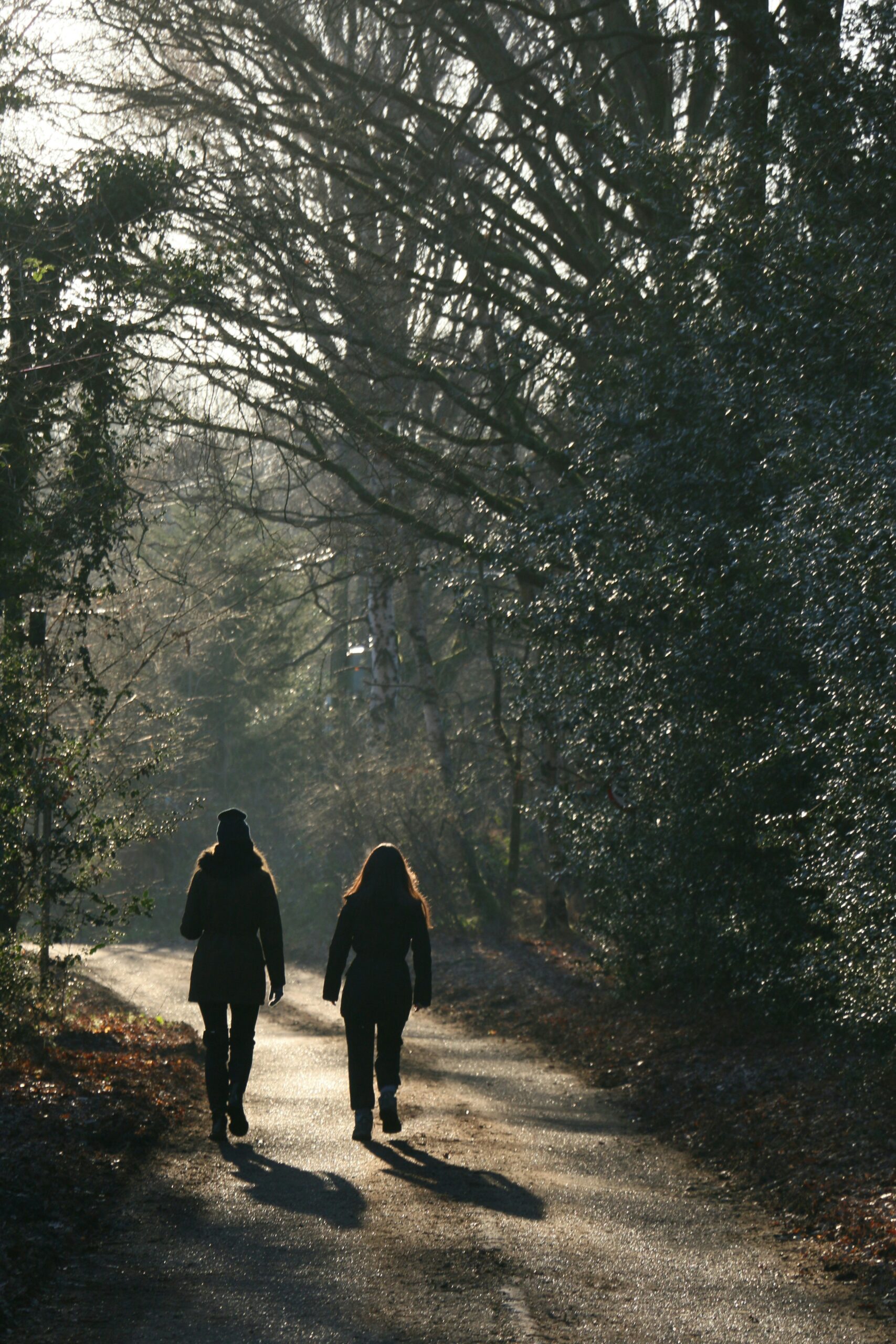 Lent Challenge: 7 Reasons to Engage in the Suffering of Jesus - InFocus